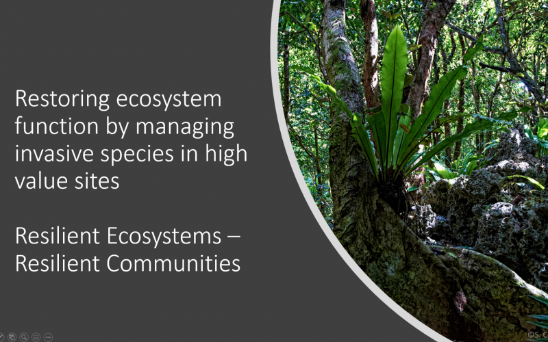 PRISMSS | Pacific Environment