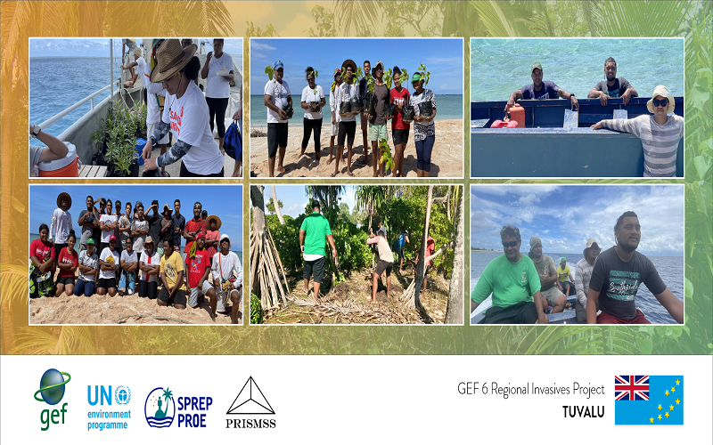 GEF6 Regional Invasives Project | Pacific Environment