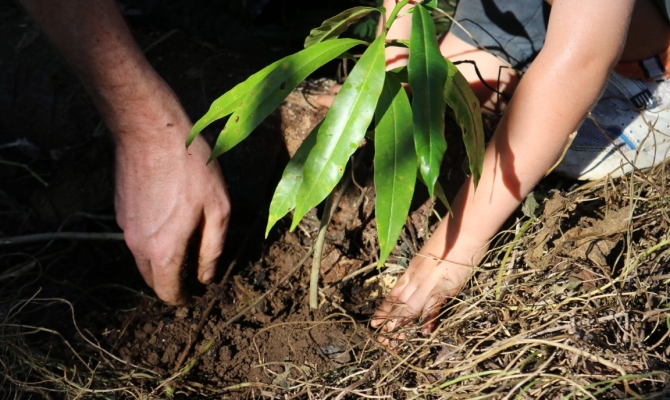 Pacific Climate Change Centre finalises support for Greening of 2023 ...