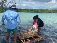 Climate resilient root-crops trialed in Fiji | Pacific Environment