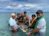 Climate resilient root-crops trialed in Fiji | Pacific Environment