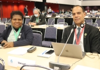 Vanuatu’s golden yam, a successful climate resilient root crop ...